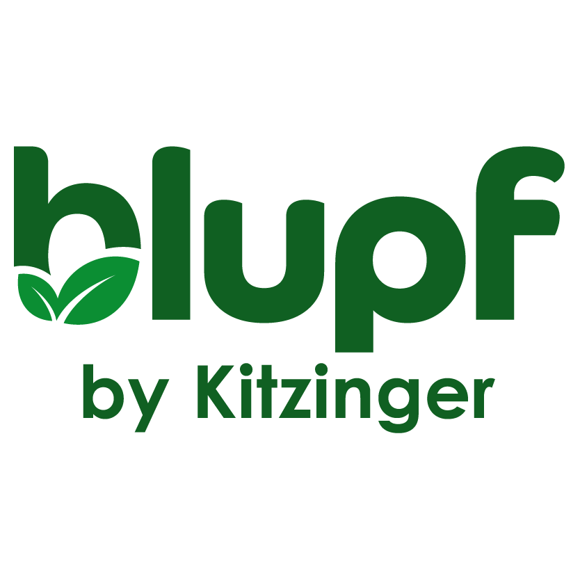 Sommer-Tamariske – Tamarix ramosissima (Mehrstämmig) – Blupf by Kitzinger